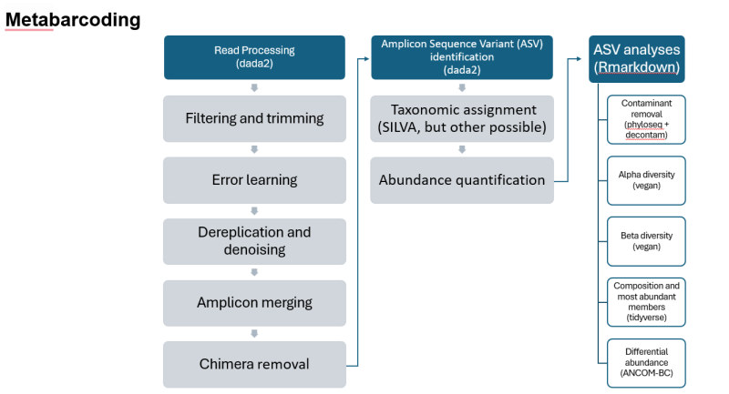 Metabarcoding Pipeline Center Of Microbiome Science